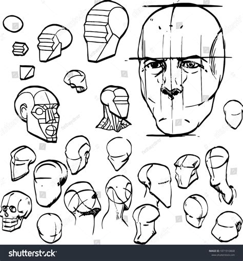 Vector Face Drawing Different Angles Face Stock Vector Royalty Free 1871910868 Shutterstock