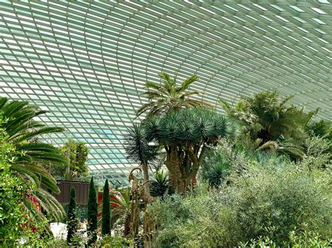 Singapore Maxwell Forbes