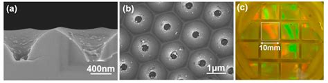 Nanomaterials Free Full Text A Novel Synthesis Of Zno Nanoflower Arrays Using A Lift Off