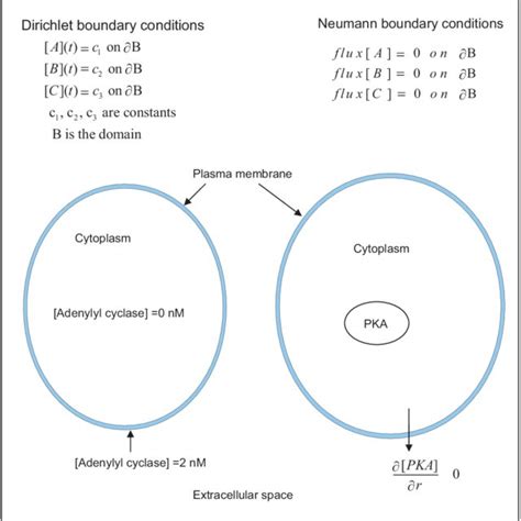 Boundary Condition For Pdes The Dirichlet Boundary Condition States
