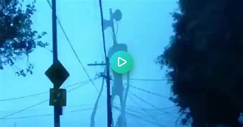 Quarantine Checker Album On Imgur