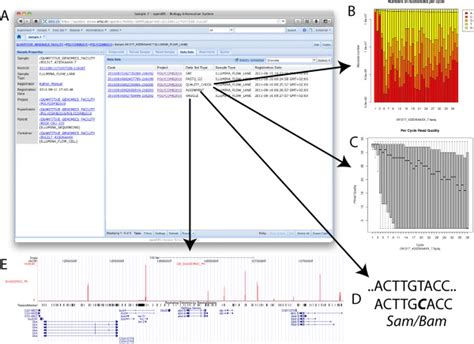 Data Browsing And Visualization A Data Set Browsing Different Download Scientific Diagram