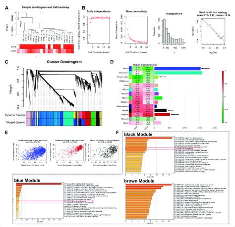Wgcna A Sample Cluster Analysis Associated With Clinical Characters
