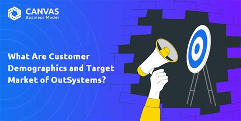 What Is Customer Demographics And Target Market Of Outsystems Company