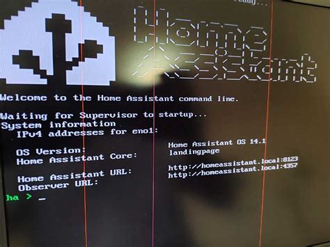 Network Interfaces Not Showing Installation Home Assistant Community