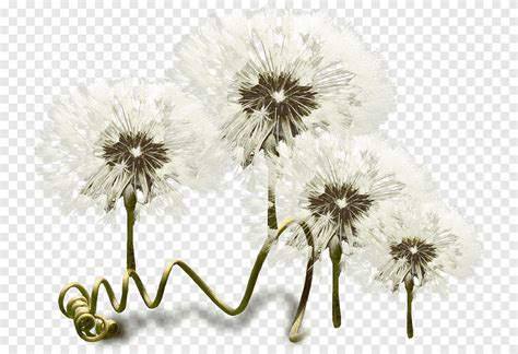 Цветок Одуванчик Роза Одуванчик Креатив Аранжировка цветов декупаж Png Pngegg