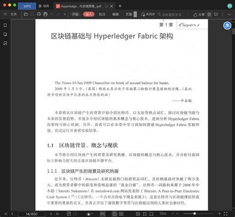 Hyperledger Fabric 技术内幕：架构设计与实现原理 Pdf电子书 88mb 下载 码农书籍网