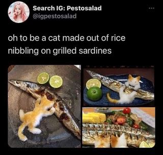 Sardines Memes Best Collection Of Funny Sardines Pictures On Ifunny