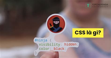 Khái niệm CSS là gì Vai trò quan trọng của CSS trong website