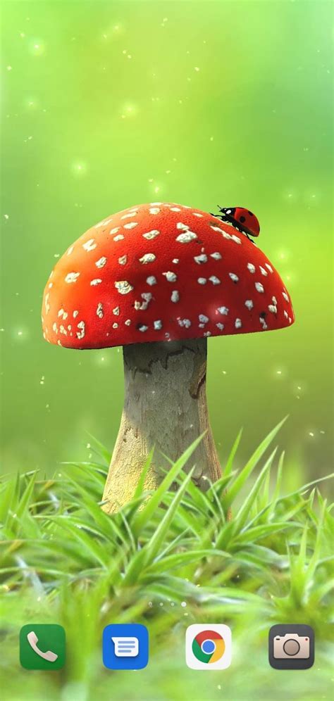 Top 90 About Couple Live Wallpaper Billwildforcongress