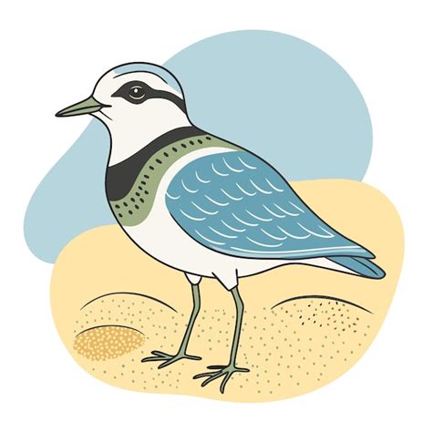 Premium Vector Plover Bird Color Blobs Vector