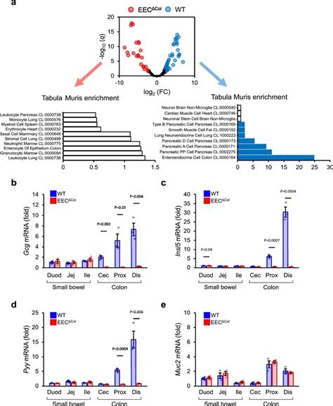 宏转录组在医学研究中的应用案例解析 回肠内容物 宏转录组学 Csdn博客