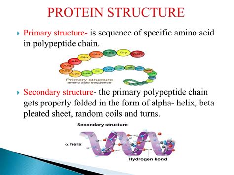 Proteomics Pptx