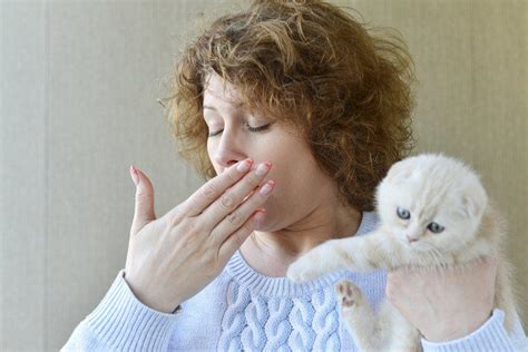 Аллергия — ривожланиш сабаблари, турлари, аломатлари, даволаш, олдини ...