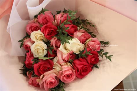 사랑고백글귀 모음 50가지 영어사랑고백문구 청혼 프로포즈멘트 사랑시 사랑명언 네이버 블로그