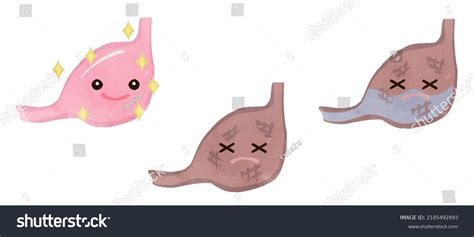 Cute Stomach Character Illustration Set Stock Vector Royalty Free 2185492893 Shutterstock