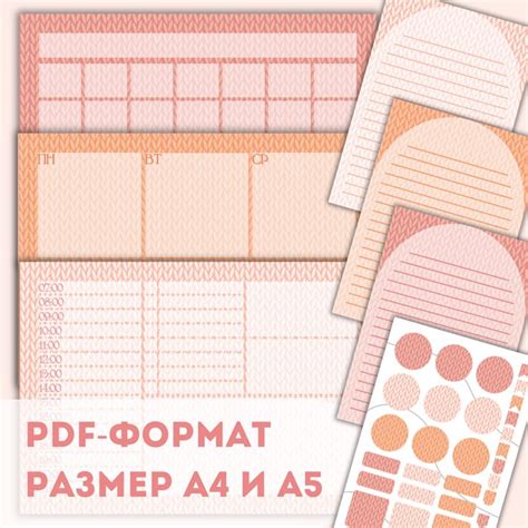 Инструкция по вязанию спицами ажурной мини шали фишю Очарование Венера Шарипова скачать на