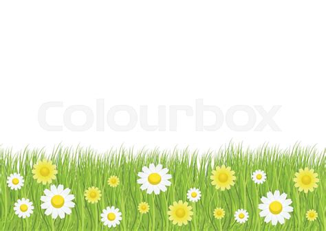 Oster Bild Sprössling Stock Vektor Colourbox