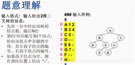 树的同构 （25 分）（答案超详解）第六章树和二叉树 树和森林 计算机17级 7 17 1 树的同构 分数 25 作者 陈越 单位 浙江
