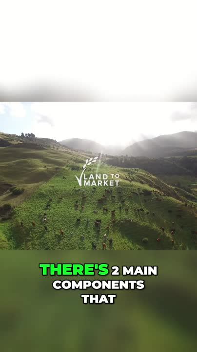Video Lisa Mabe On Linkedin This Is One Of My Most Fun Projects