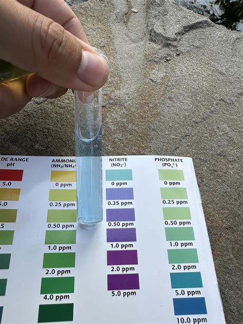 Best Aquarium Water Test Kits 2026 Expert Reviews
