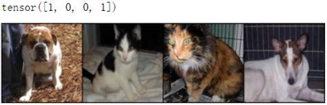 Pytorch数据处理，datasets、dataloader及其工具的使用 夕西行 博客园