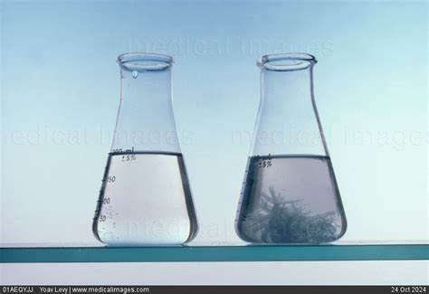 Stock Image Example Of A Supersaturated Solution One That Contains Moreof A Solute Than Can Be