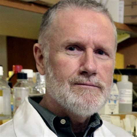 Colin Cai University Of Houston Tx U Of H Uh Department Of Finance Research Profile