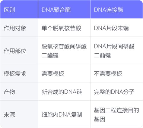 Dna聚合酶与dna连接酶的区别有问必答快速问医生