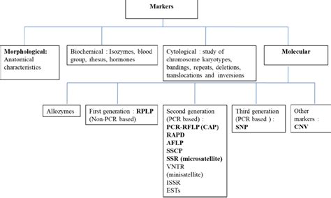 Is A Proposed Classification Of Some Major Maker Used In Biodiversity