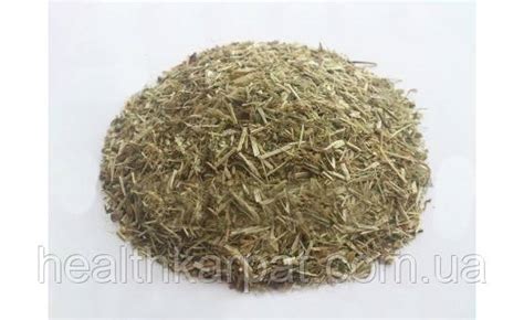 Донник буркун трава 1кг, цена 209.53 грн — Prom.ua (ID#1623954251)