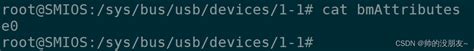 linux usb 设备 linux固定usb端口号 csdn博客