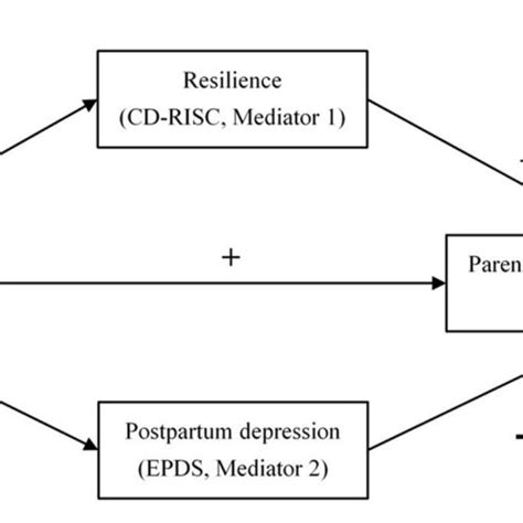 Figure Conceptual Framework Of The Social Support Resilience Download Scientific Diagram