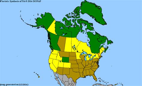 2013 Bonap North American Plant Atlas Taxonmaps