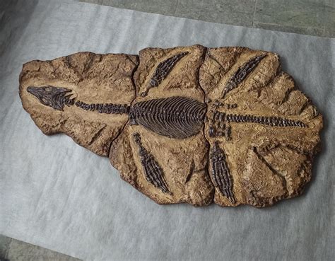 Giant Plesiosaur Fossil Replica • Life Size Prehistoric Marine Reptile Wall Art • Museum Quality