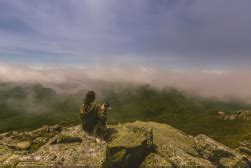 Photoshop AI Generative Fill Tool Tutorial Tips