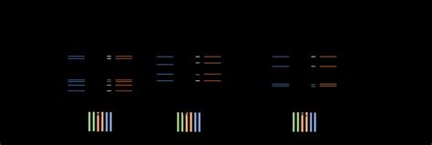 Cross Modal Memory Networks D Represents Discriminator And Hash Layer Download Scientific