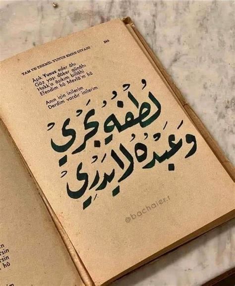 omnia abdelrahman posted on linkedin