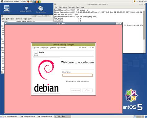 Attempt Of Vnc Setup On Ubuntu Hardy Pv Domu At Xen 33 Centos 52 Dom0 All 64 Bit Xen