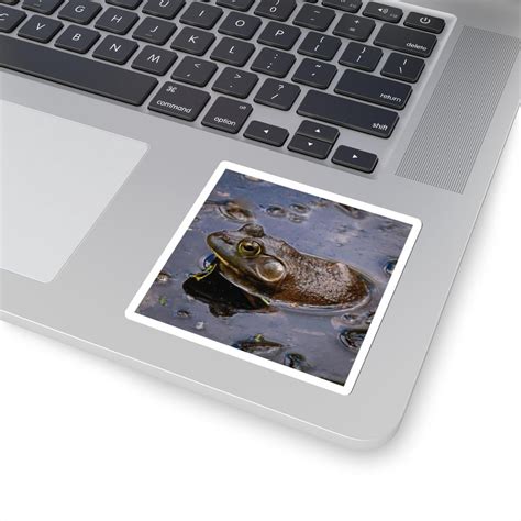 Bullfrog Sticker Bull Frog Sticker Bullfrog In The Water Amphibians