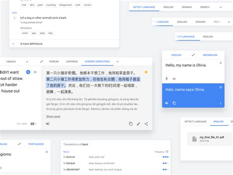 Google Translate Web UI By Olivia G Sutanto For Google On Dribbble