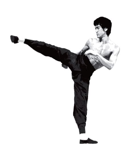 Bruce Lee Karate Kick