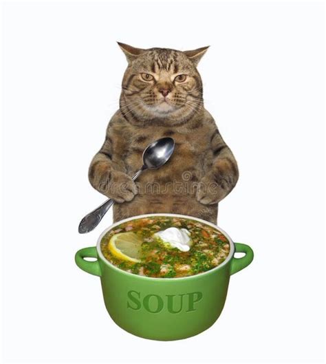 Pin On Art Cute Cat Drawing Cat Soup Recipe Cat Drinking