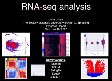 Biofinysics Simple RNA Seq Quantification And Differential Expression Pipelines