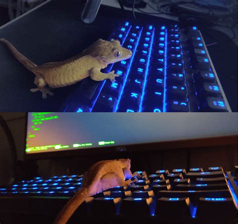 Im Hacking Into The Mainframe Aww Im Hacking Into The Mainframe Aww