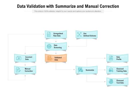 Data Validation With Summarize And Manual Correction Ppt Powerpoint Present