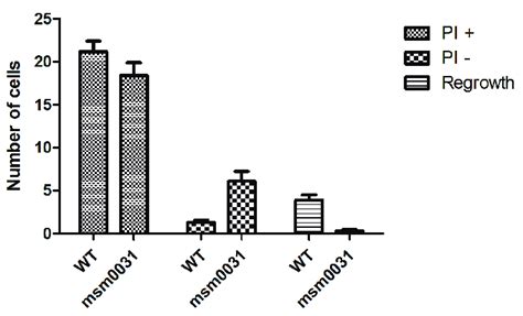 Phenotypic Subpopulations Of Inh Exposed M Smegmatis Wild Type And The Download Scientific