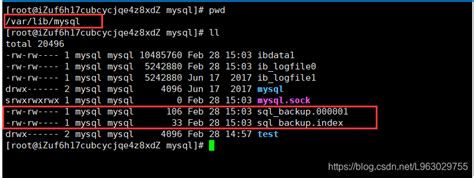 Linux 下mysql备份linux Mysql的数据备份 Csdn博客