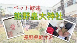 ケージ不要大型犬も一緒に乗れる御岳山ケーブルカー 柴犬と行く御嶽神社2022秋