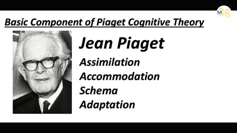 Basic Component Of Piaget Theory Schema Assimilation Adaptation